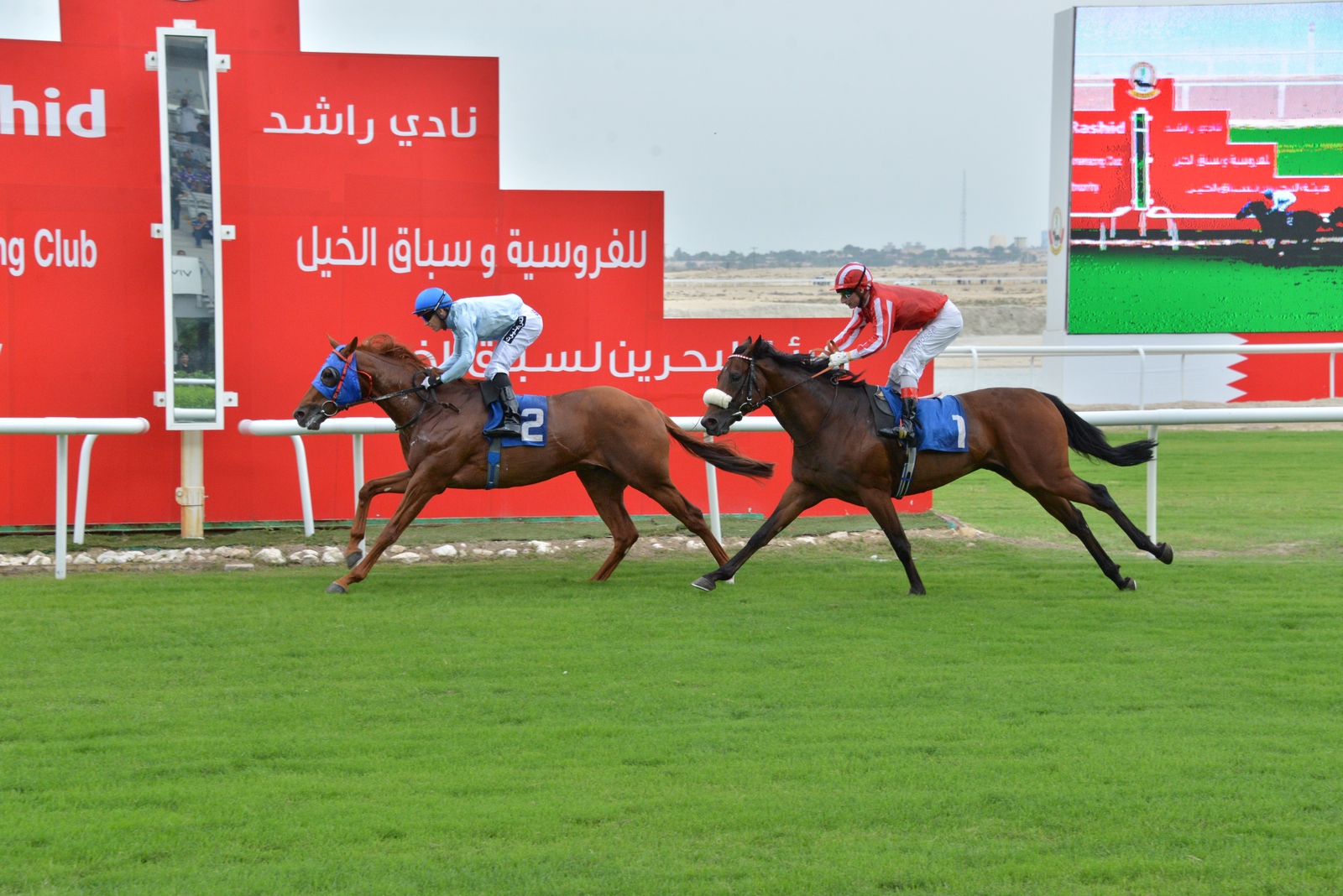 The Rashid Equestrian and Horse Racing Club organises third race in the ...
