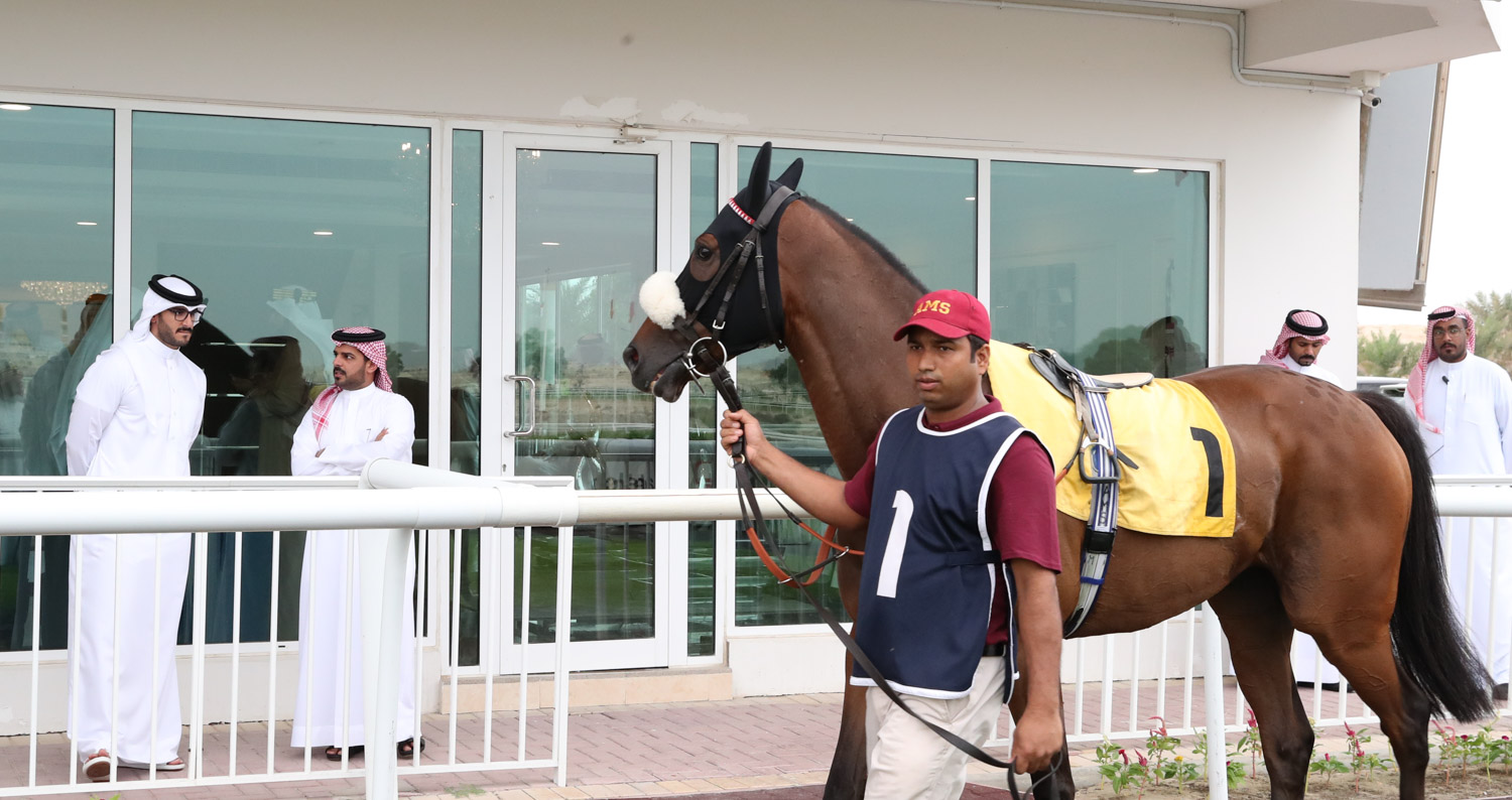 The Rashid Equestrian and Horse Racing Club organises third race in the ...