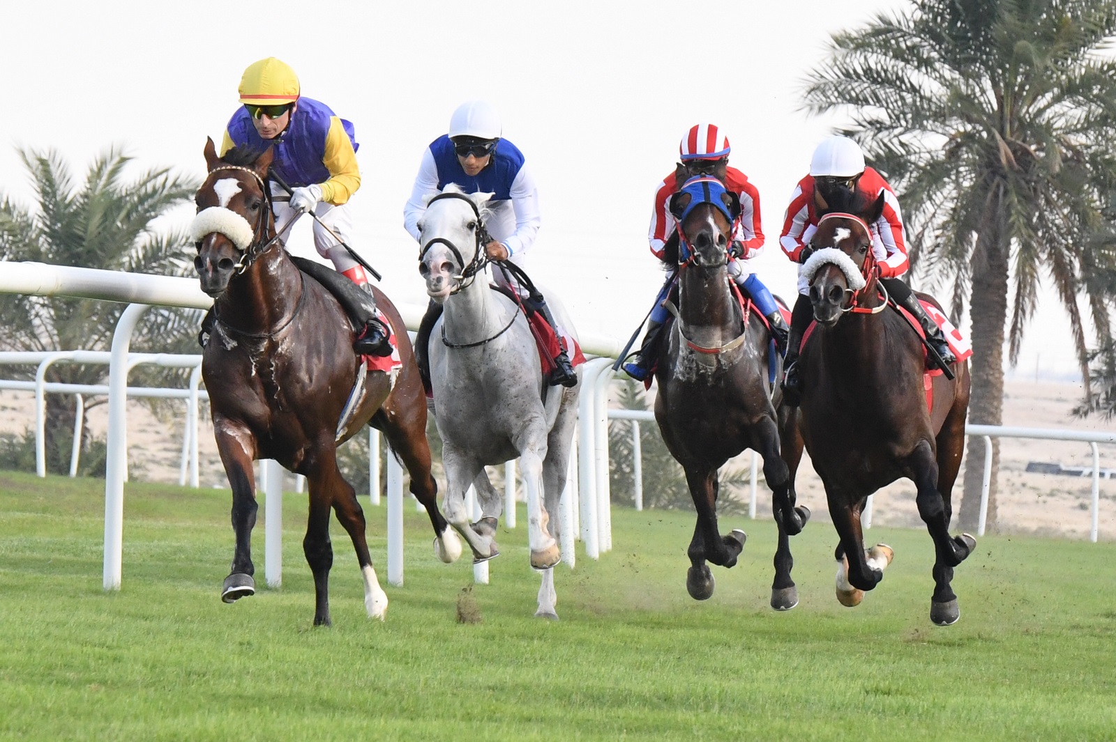 The Rashid Equestrian and Horse Racing Club organises fifth race of the ...