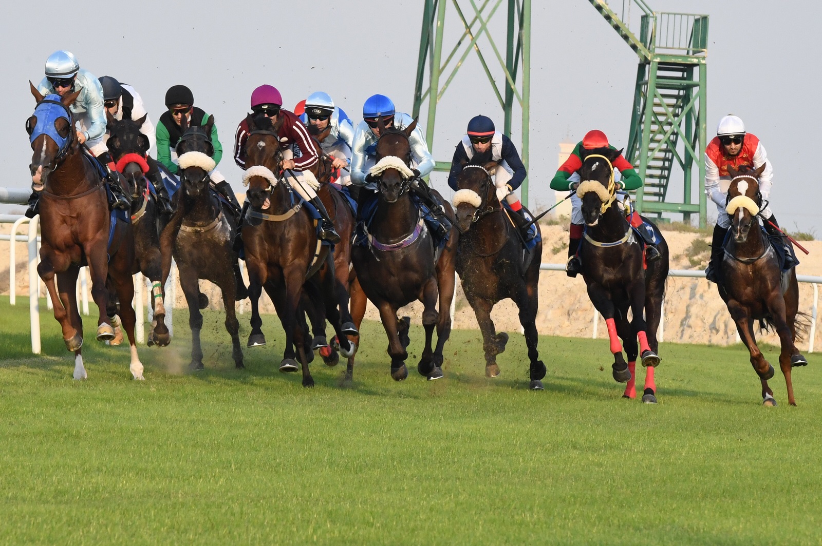 The Rashid Equestrian and Horse Racing Club organises fifth race of the ...