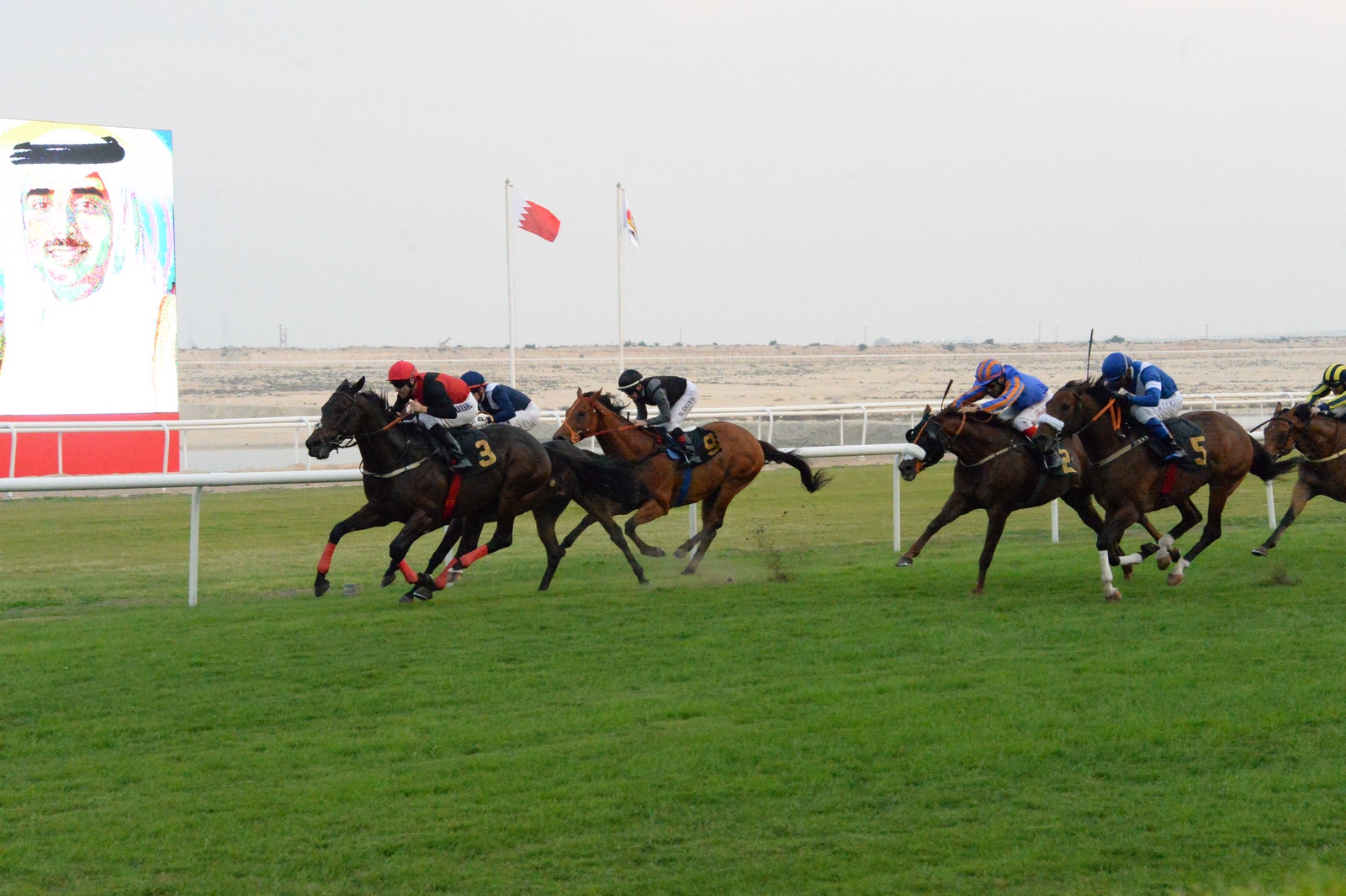 The Rashid Equestrian and Horse Racing Club organises fifth race of the ...