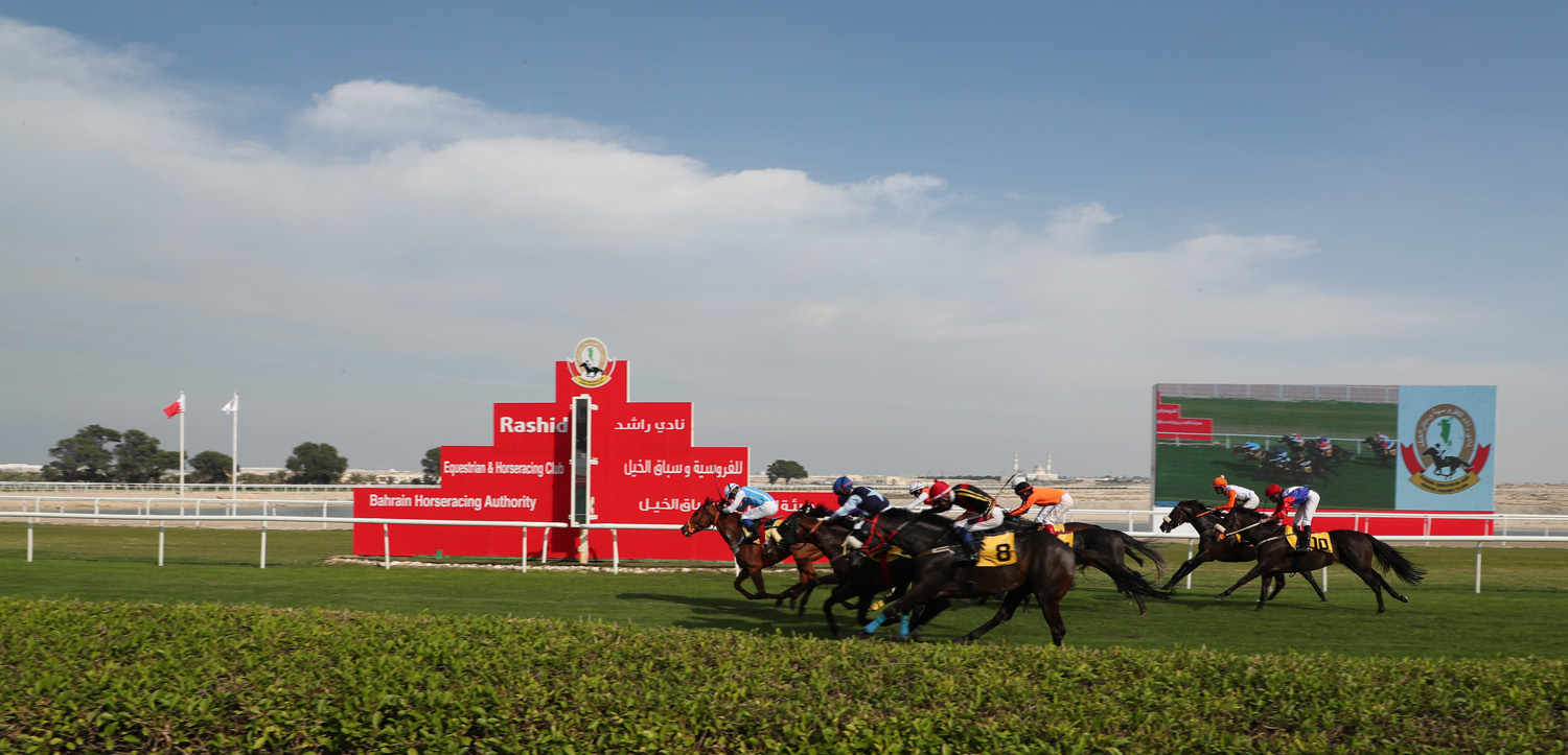 The Rashid Equestrian and Horse Racing Club organises fifth race of the ...