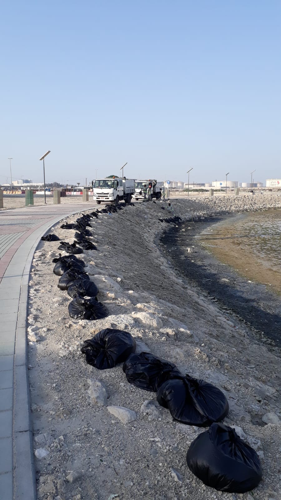 SCE: The phenomenon of red tide is the cause of fish deaths in Ma'ameer ...