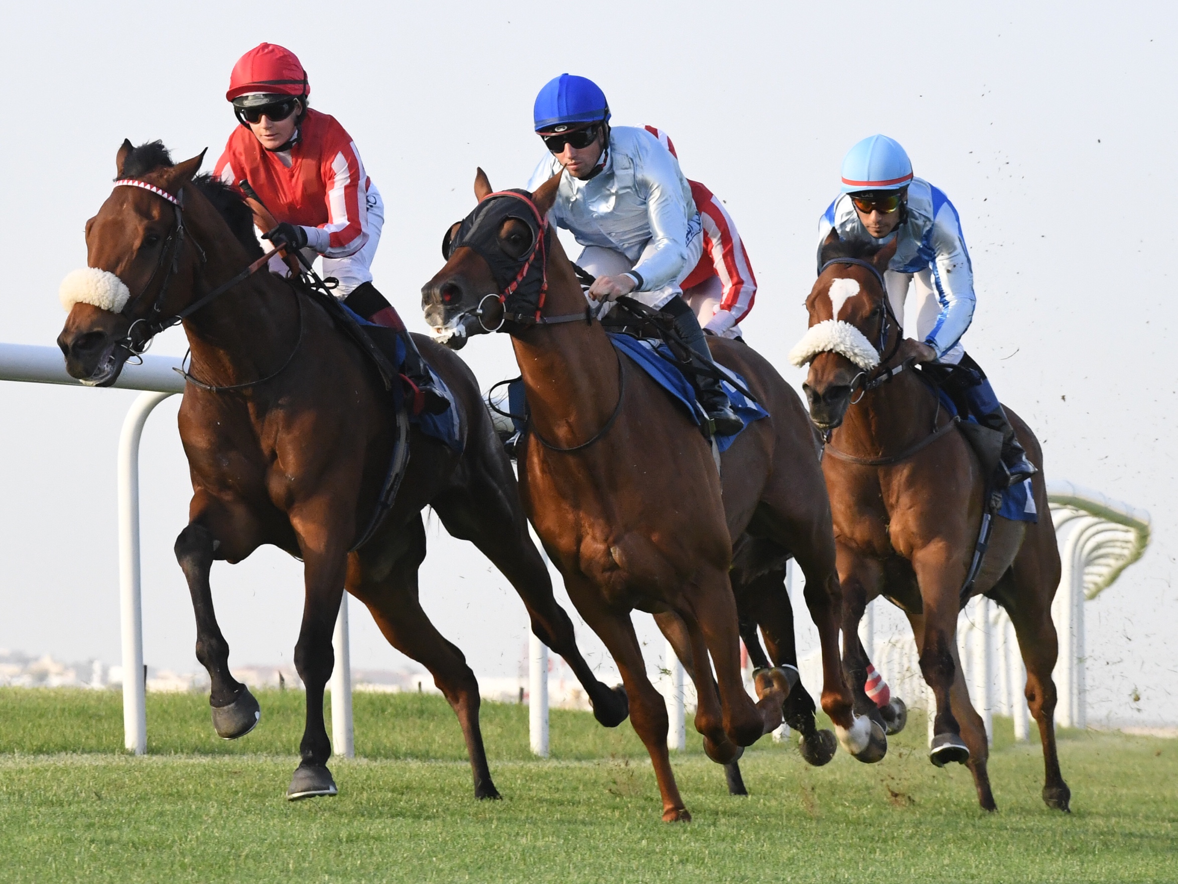 The Rashid Equestrian and Horse Racing Club organises 24th race of the ...