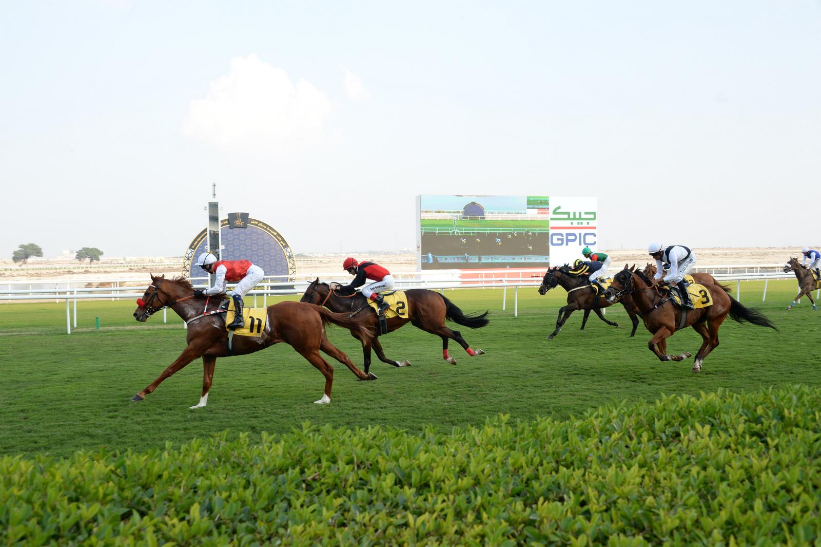 The Rashid Equestrian Club organises sixth race of the season | Bahrain ...