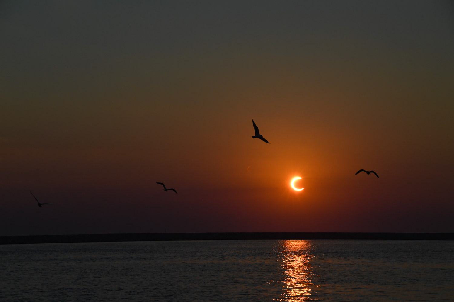 Bahrain witnesses the biggest solar eclipse in its history | Bahrain ...