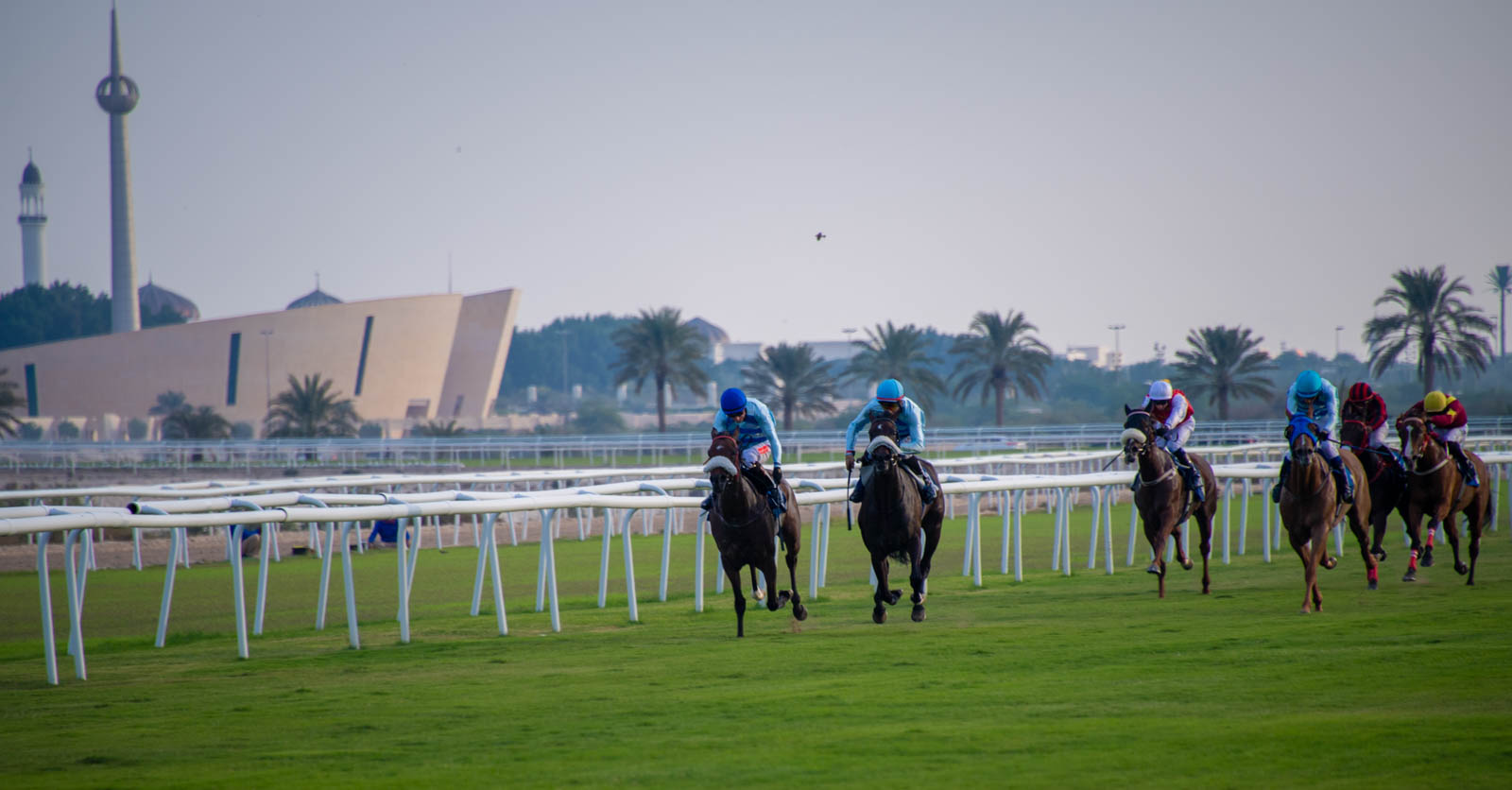 Rashid Equestrian Club holds season’s third race | Bahrain News Agency