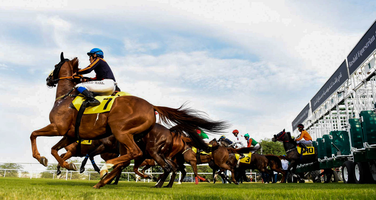 Rashid Equestrian Club holds season’s third race | Bahrain News Agency