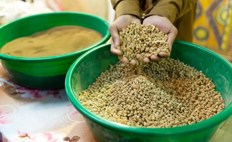 Rare plant cultivated in Saudi Arabia