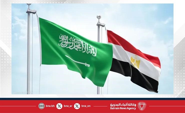 Egypt, Saudi Arabia discuss health cooperation