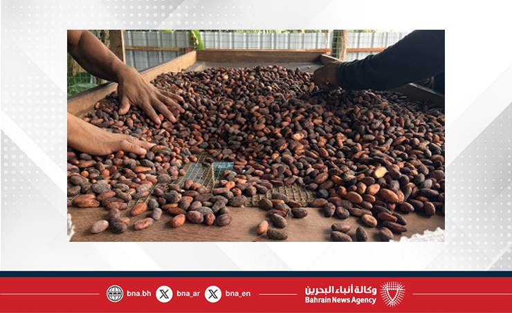 Ivory Coast expects increased cocoa production to ease global supply ...