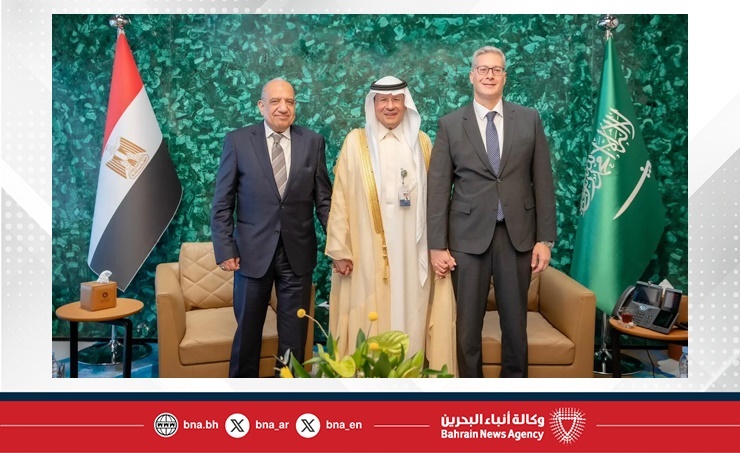 Saudi Arabia, Egypt renewable energy cooperation reviewed