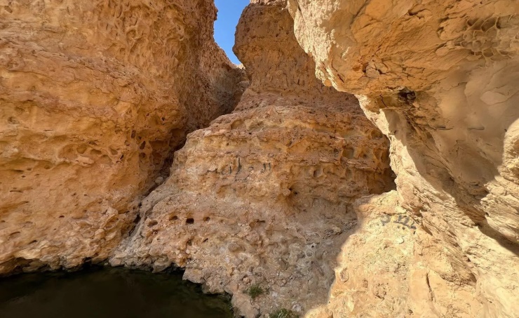 Ayn Al Dhi'bah, a historical site and a haven for wolves in Laynah