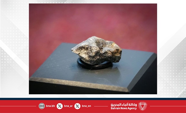 Rare Meteorite Fragment from Berlin Crash Displayed at Natural History ...