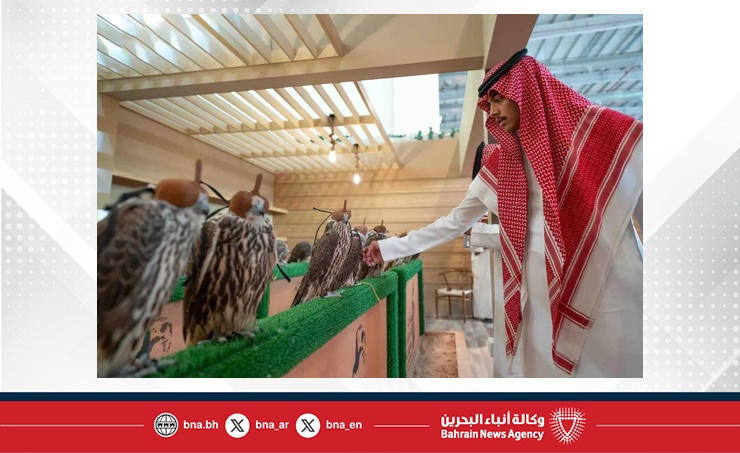 Falcons take center stage at International Saudi Falcons and Hunting ...