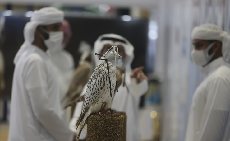 Falconry has expanded to 90 countries across the globe