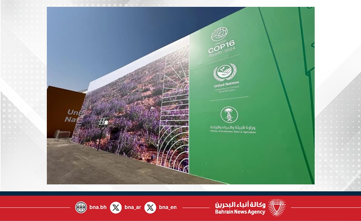 COP 16 Riyadh: International Afforestation Exhibition, Forum explores ...