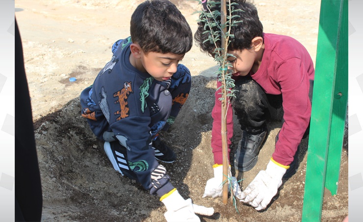 Forever Green plants 115 Al Ghaf seedlings along Alhunayniyah hill