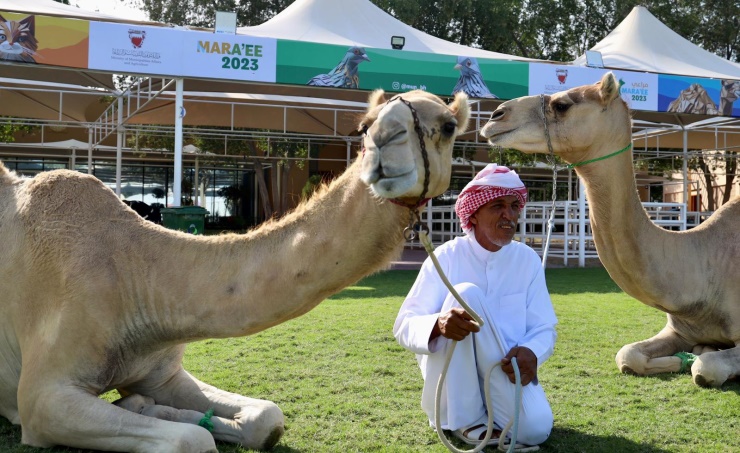 Mara'ee 2023 open to public until Saturday