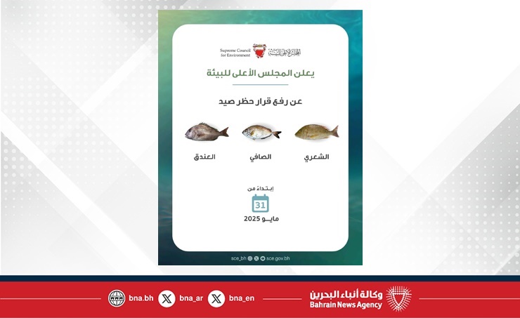 SCE announces lifting fishing ban of Safi, Shaari, Andag fish