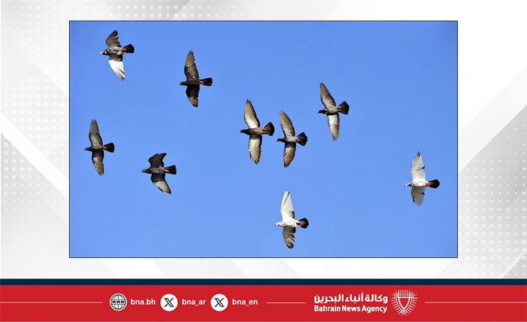 Bahrain weather forecast