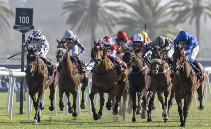 HRH Crown Prince and Prime Minister Cup race to be held by REHC tomorrow