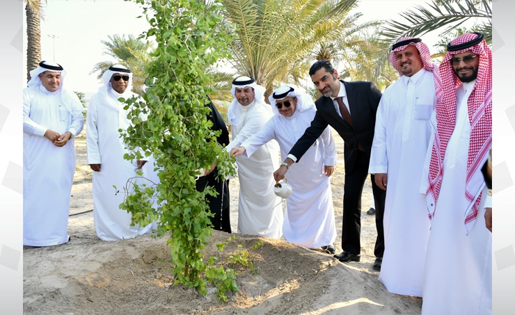 100,000 trees planted as part of Saudi-backed initiative