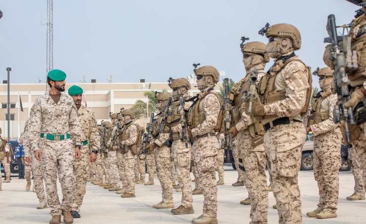 Royal Guard Commander inspects Jelmoud 3