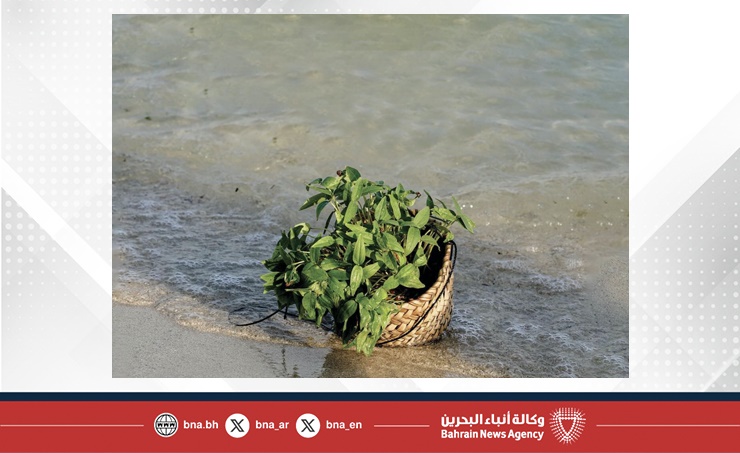 BACA organises Heya Beya event