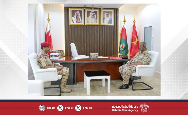 Commander-in-Chief inspects BDF Weapons, Units