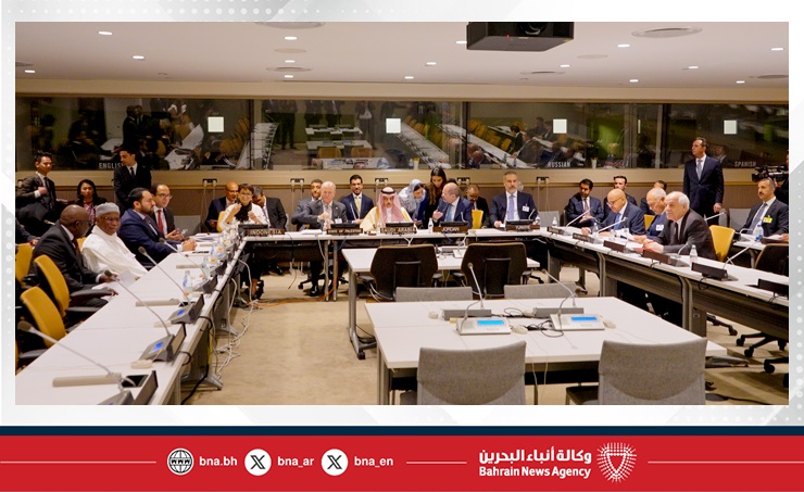 Foreign Minister participates in ministerial meeting on Gaza situation ...