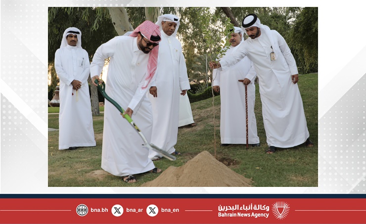 SCE Vice President participates in National Tree Week