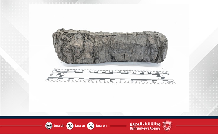 AI and scientists unite to decipher old scrolls charred by the Vesuvius ...