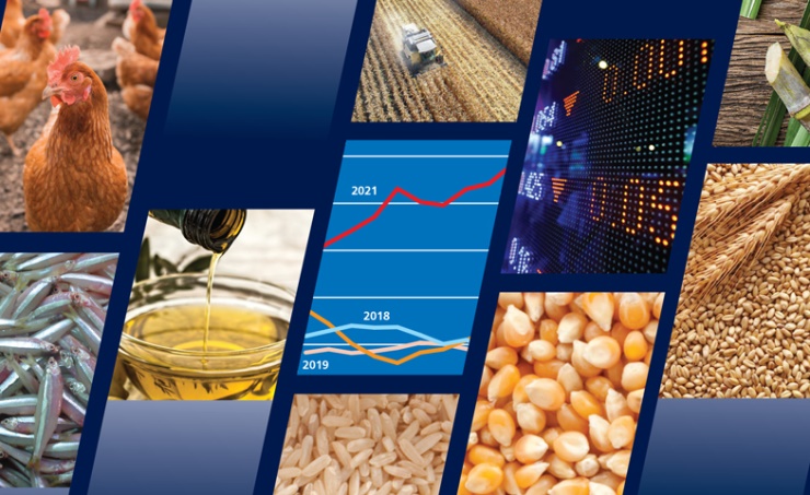 World food import bill to reach record high in 2021